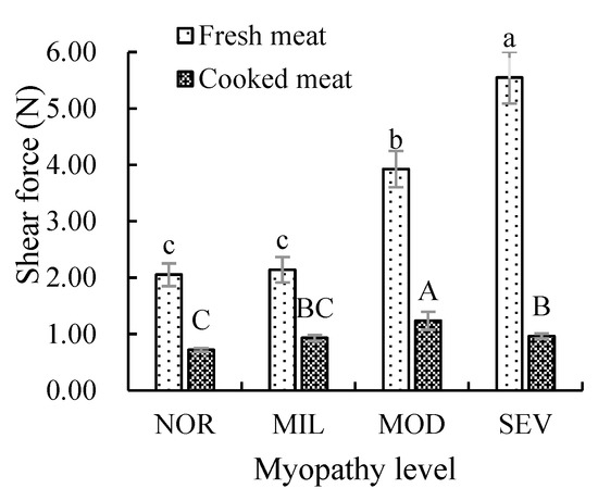 Insights into Intramuscular Connective Tissue Associated with Wooden ...