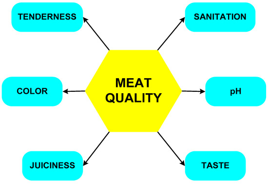 Effects of Shear Stress Waves on Meat Tenderness: Ultrasonoporation