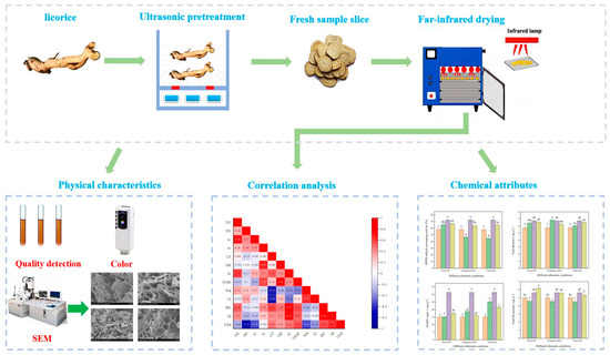 Effect of Ultrasonic Pretreatment on the Far-Infrared Drying Process ...