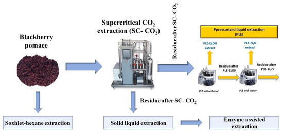 Subcritical and Supercritical Fluids to Valorize Industrial Fruit and ...