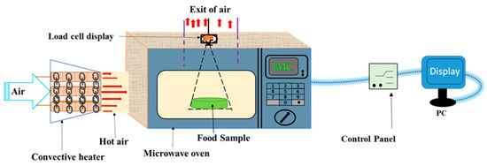 Pore Evolution in Cell Walls of Food Tissue during Microwave-Assisted ...
