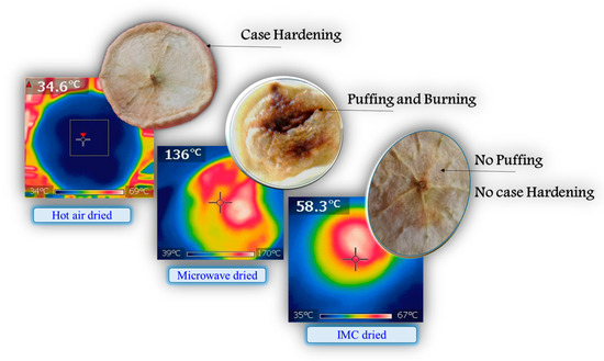 Pore Evolution in Cell Walls of Food Tissue during Microwave-Assisted ...