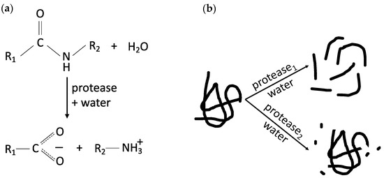 Applications of Enzyme Technology to Enhance Transition to Plant ...