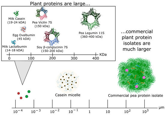 Applications of Enzyme Technology to Enhance Transition to Plant ...
