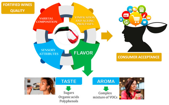 The Fingerprint of Fortified Wines—From the Sui Generis Production ...
