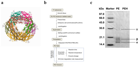 Foods | Free Full-Text | The Hydrolysis of Pigment-Protein ...