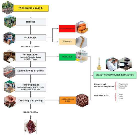 Profile of Bioactive Components of Cocoa (Theobroma cacao L.) By-Products from Ecuador and ...