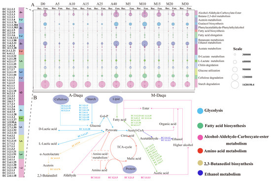 Exploring the Successions in Microbial Community and Flavor of Daqu ...