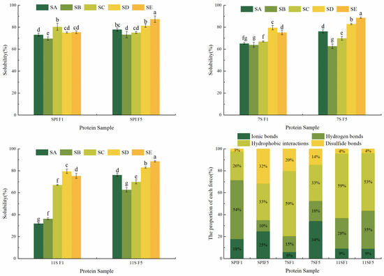 Effect of Freezing on Soybean Protein Solution