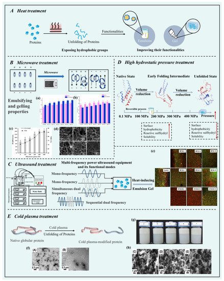 Foods | Free Full-Text | Protein-Stabilized Emulsion Gels with Improved ...