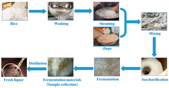 Characterization and Correlation of Microbiota and Higher Alcohols ...