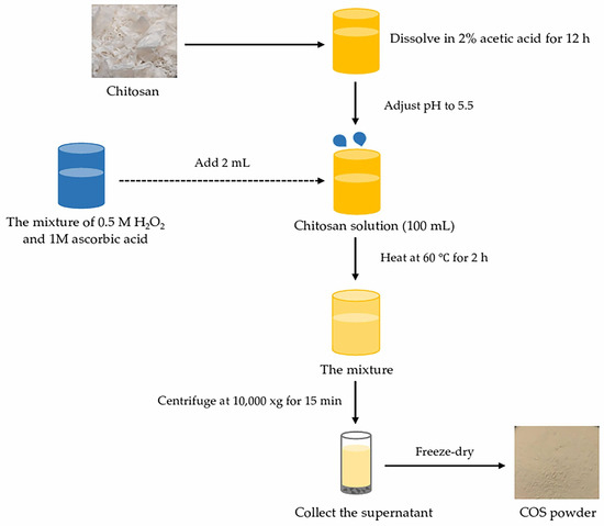 Chitooligosaccharide from Pacific White Shrimp Shell Chitosan ...
