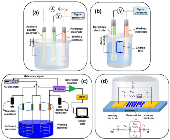 Recent Advances in Electrochemical Biosensors for the Detection of ...