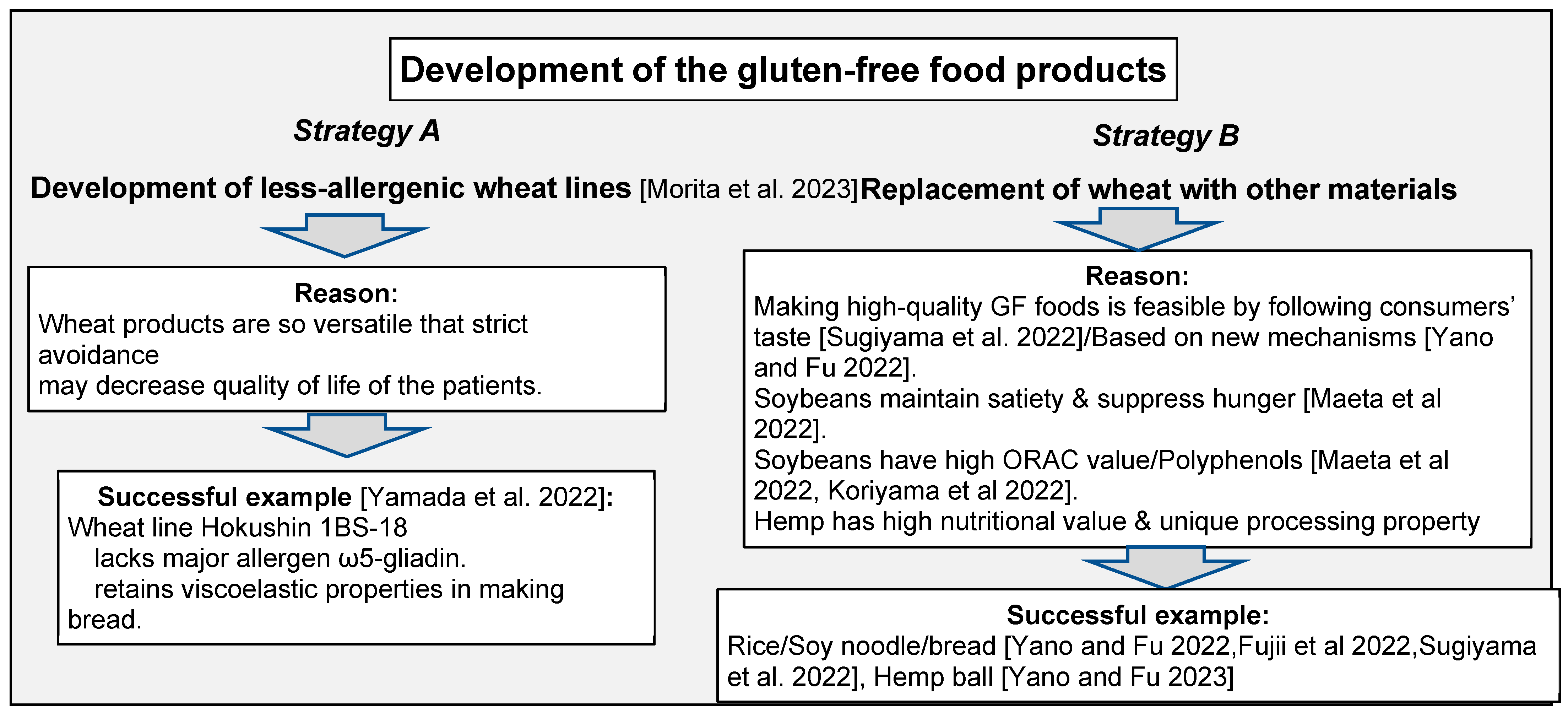 Special Issue “Strategies to Develop High-Quality Gluten-Free Products ...