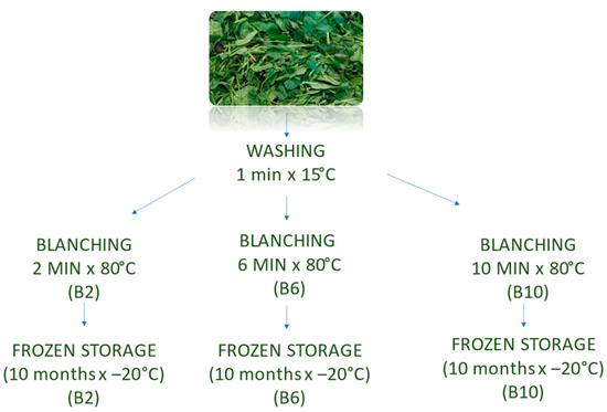 The Effect of Washing, Blanching and Frozen Storage on Pesticide ...
