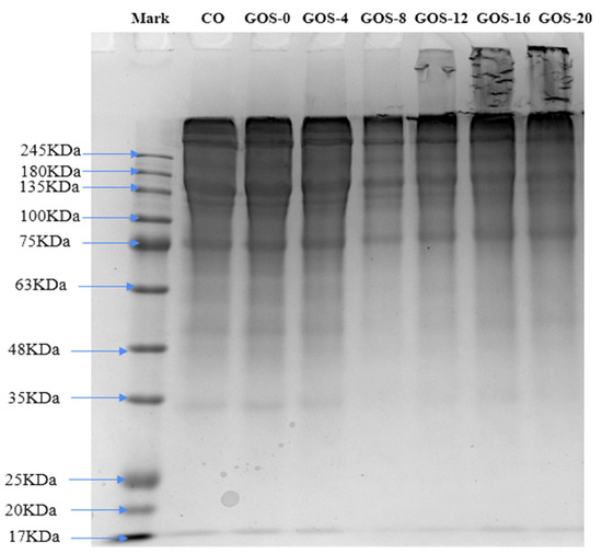 Modified Structural and Functional Properties of Fish Gelatin by ...