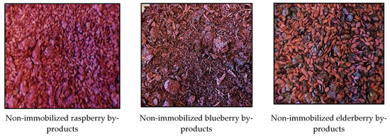 Characteristics of Unripened Cow Milk Curd Cheese Enriched with ...