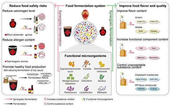 Synergistic Fermentation with Functional Microorganisms Improves Safety ...