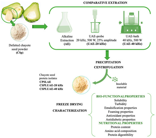 Chayote (Sechium edule (Jacq.) Swartz) Seed as an Unexploited Protein Source: Bio-Functional and ...