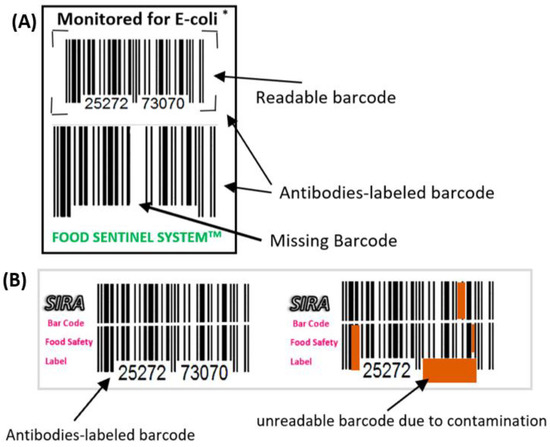 Recent Advance of Intelligent Packaging Aided by Artificial ...