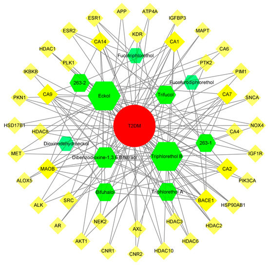 Investigation of the Potential Phlorotannins and Mechanism of Six Brown ...
