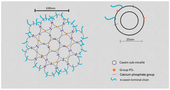 Foods | Free Full-Text | Future Perspective and Technological ...