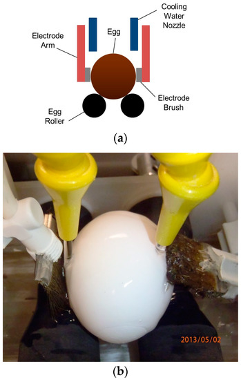 Radio Frequency Treatment of Food: A Review on Pasteurization and ...