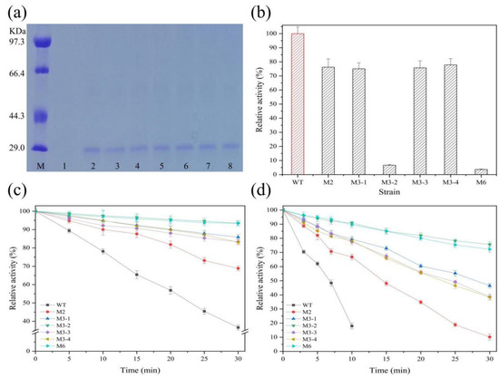 Improving the Thermostability of Serine Protease PB92 from Bacillus ...