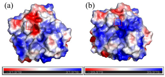 Improving the Thermostability of Serine Protease PB92 from Bacillus ...