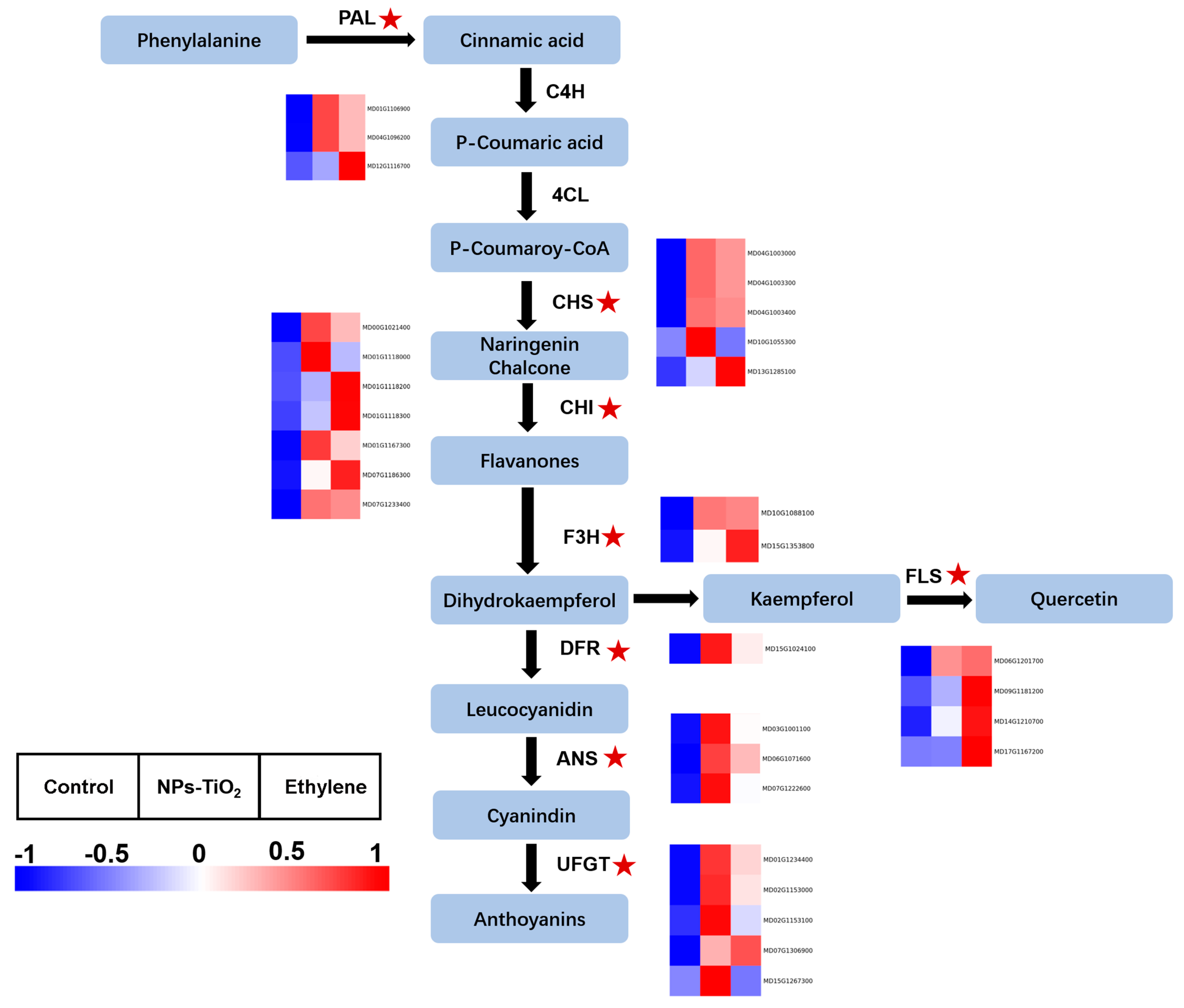 Post-Harvest Application of Nanoparticles of Titanium Dioxide (NPs-TiO2 ...