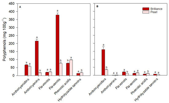 Physicochemical Quality, Polyphenol Profiles, and Postharvest ...