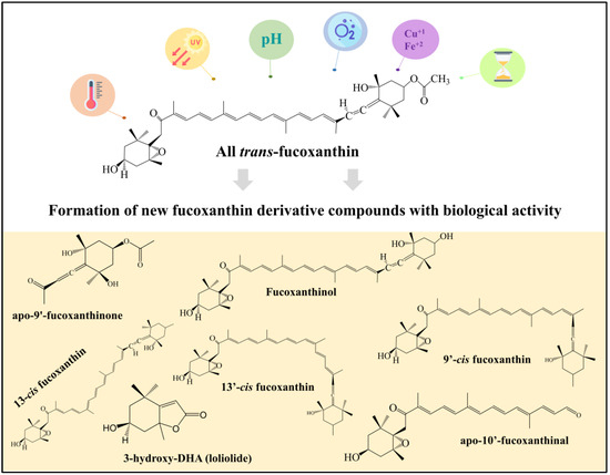 Recent Progress in Understanding the Impact of Food Processing and ...
