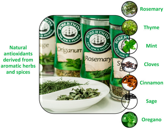 Foods | Free Full-Text | Harnessing Natural Antioxidants for Enhancing ...