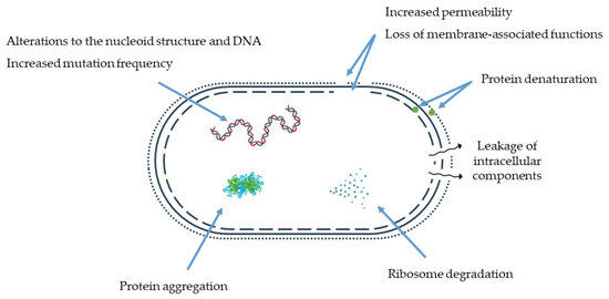 Mild Heat Treatment and Biopreservatives for Artisanal Raw Milk Cheeses ...