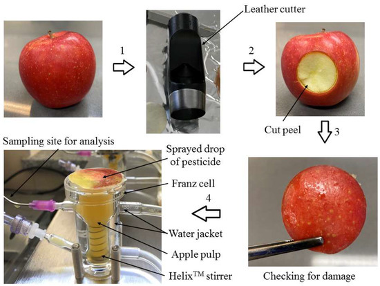 Assessment of Apple Peel Barrier Effect to Pesticide Permeation Using Franz Diffusion Cell and ...