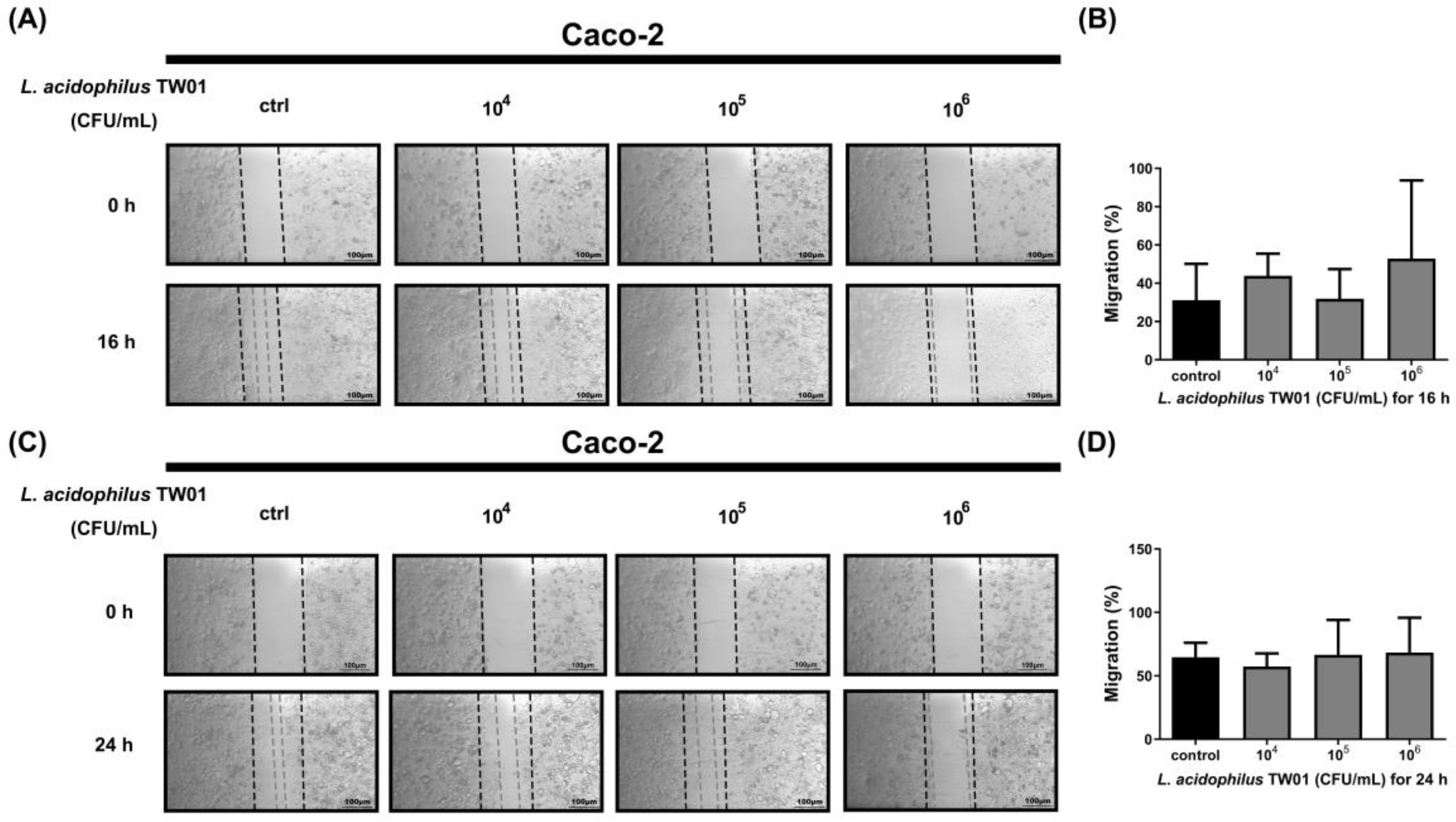 Systematic Investigation of the Effect of Lactobacillus acidophilus TW01 on Potential Prevention ...