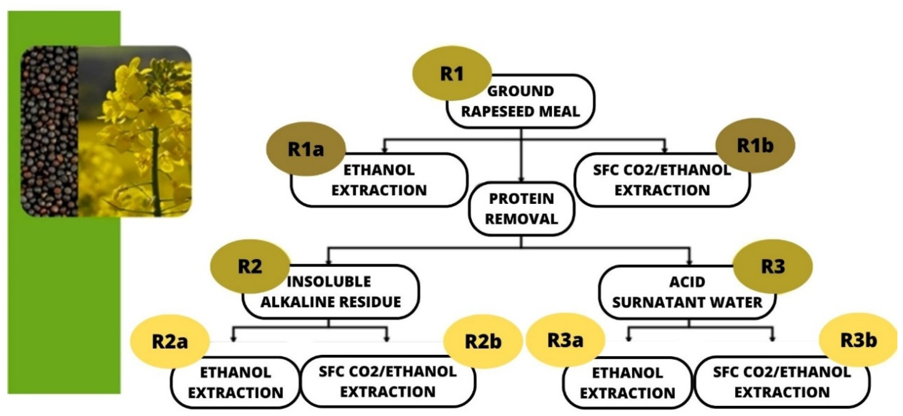 Valorisation of Side Stream Products through Green Approaches: The ...
