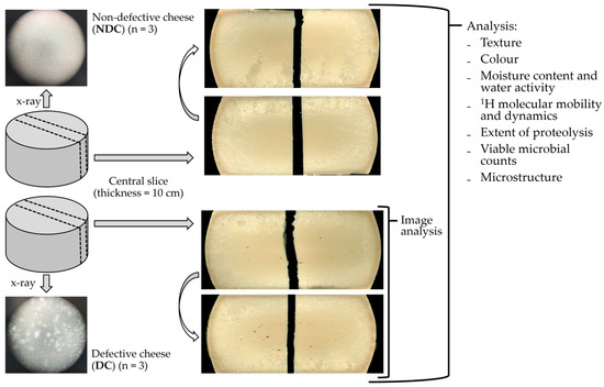 Investigating Structural Defects in Extra Hard Cheese Produced from Low ...