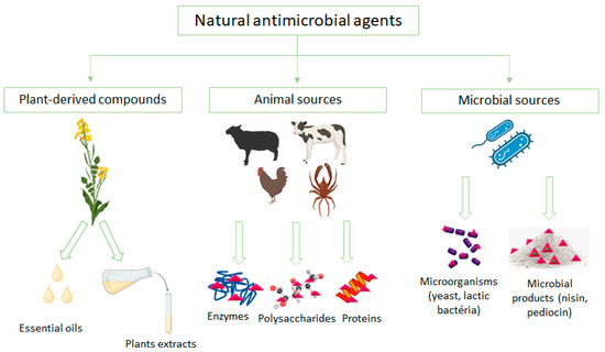 Edible Coatings and Future Trends in Active Food Packaging–Fruits’ and ...