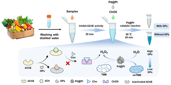 A Multi-Enzyme Cascade Response for the Colorimetric Recognition of Organophosphorus Pesticides ...