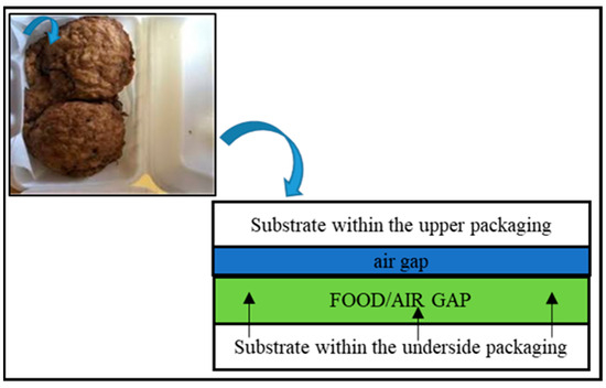 The Mechanisms of Plastic Food-Packaging Monomers’ Migration into Food ...