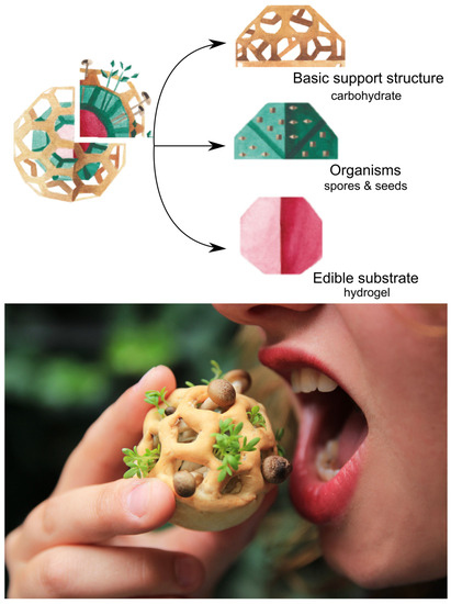 Four-Dimensional (4D) Printing of Dynamic Foods—Definitions ...