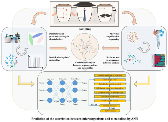 Unravelling Metabolic Heterogeneity of Chinese Baijiu Fermentation in ...