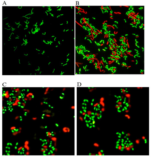 Metabolomic Differences between Viable but Nonculturable and Recovered ...