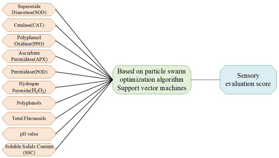 Establishing a Berry Sensory Evaluation Model Based on Machine Learning