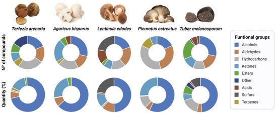Using Science and Technology to Unveil The Hidden Delicacy Terfezia ...