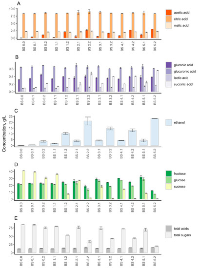 Evaluation of Microbial Dynamics of Kombucha Consortia upon Continuous ...