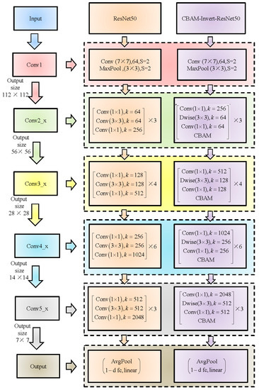 Adulteration Detection of Pork in Mutton Using Smart Phone with the CBAM-Invert-ResNet and ...