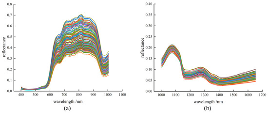 Combining Vis-NIR and NIR Spectral Imaging Techniques with Data Fusion ...