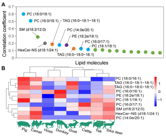 UPLC-Q-Exactive Orbitrap-MS-Based Untargeted Lipidomic Analysis of ...